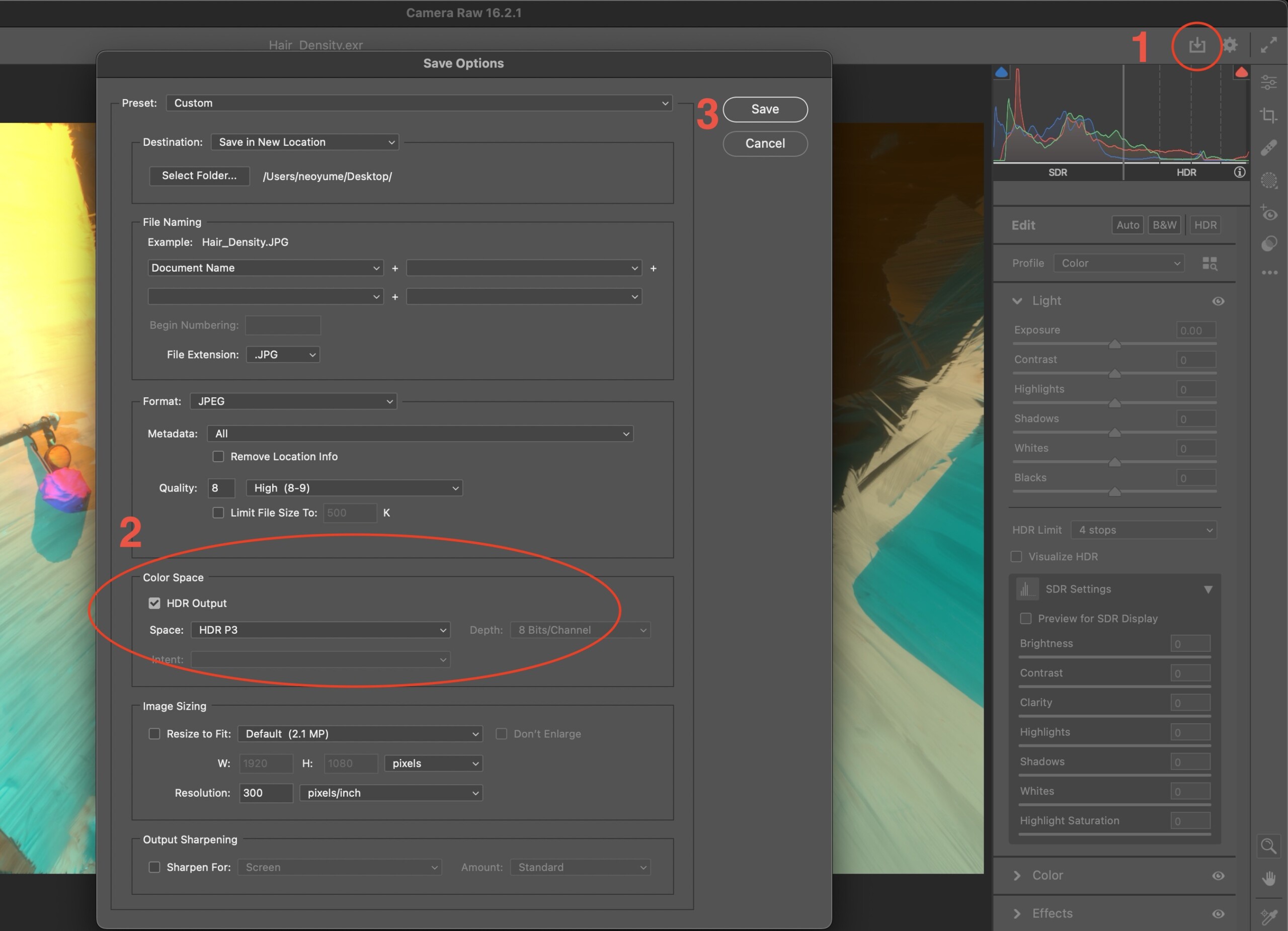 Export .exr to HDR for web – April 2024 – – Cedric Rolando – Neoyume